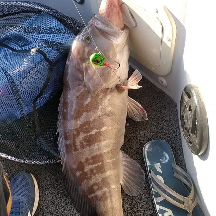 Zoga Fishing - All4Fishing.gr